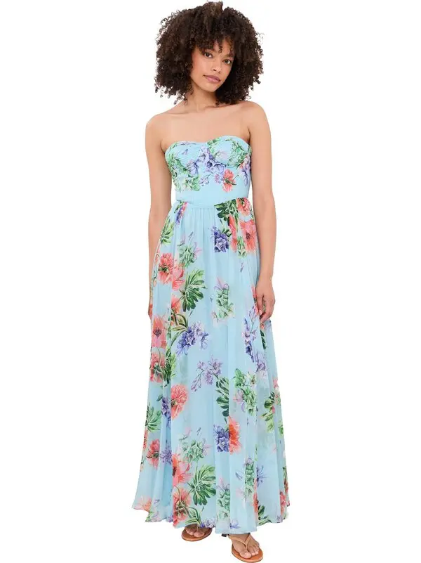 Hemant & Nandita Floral Print Corset Maxi Dress - Blue
