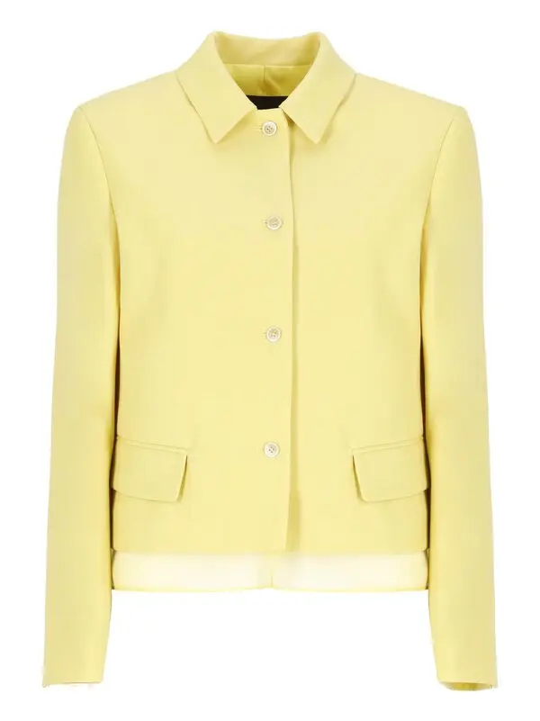 Fabiana Filippi Long-sleeved Buttoned Jacket With Tulle Detail - Yellow