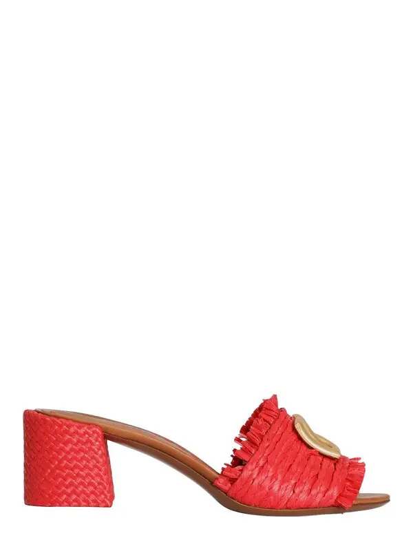 Dolce & Gabbana Raffia Mules With Dg Logo - Multicolor