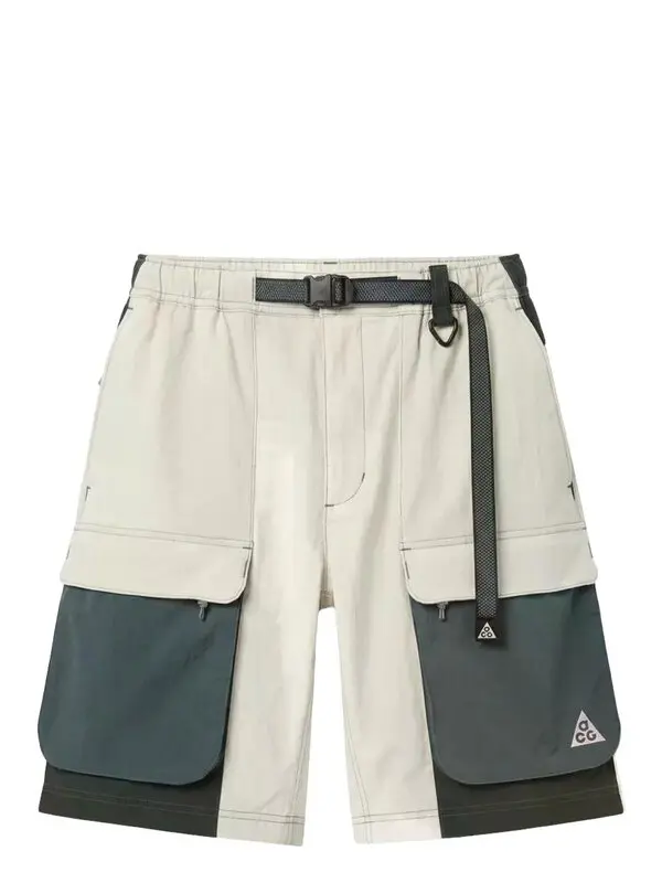 Nike Smith Summit Cargo Shorts - Neutrals