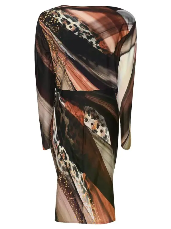 Roberto Cavalli Animal Print Midi Dress - Brown