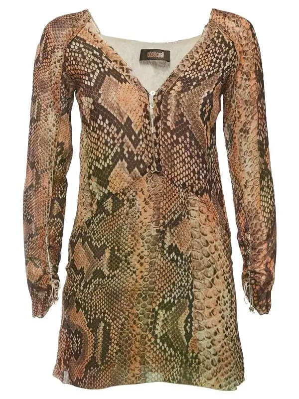Roberto Cavalli Snake-print Mini Dress - Brown