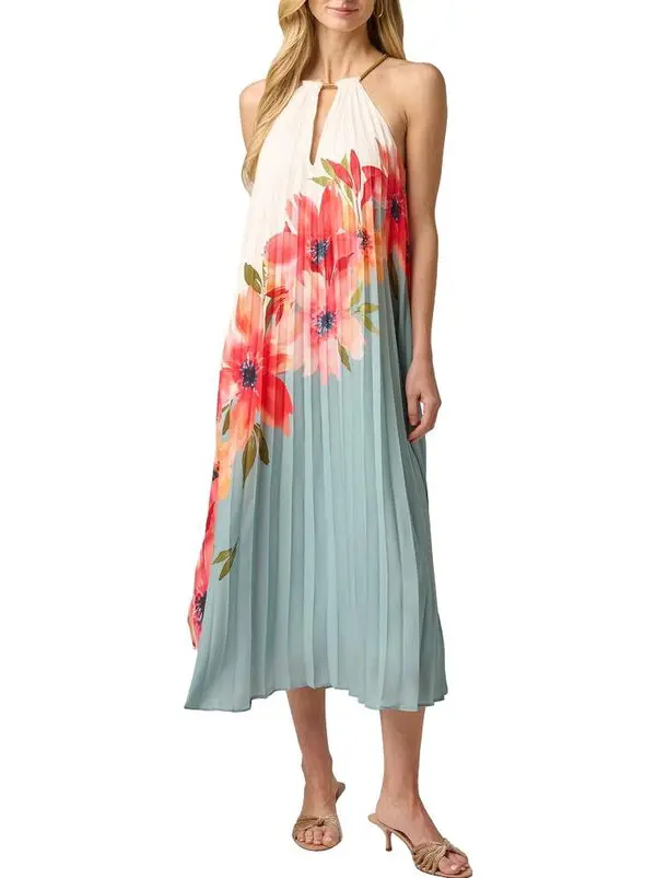 Adrianna Papell Sleeveless Floral Print Pleated Chiffon Maxi Dress - Blue Multi