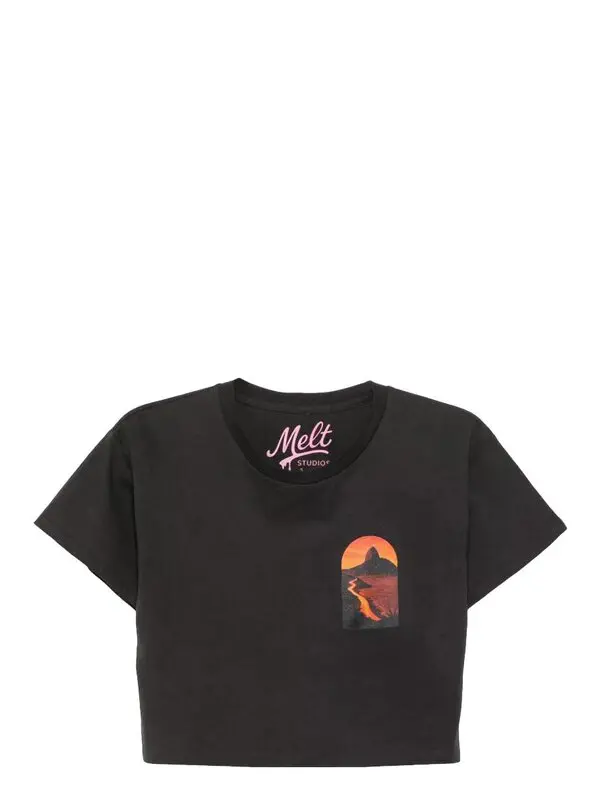 MELT Graphic-print Cropped T-shirt - Grey