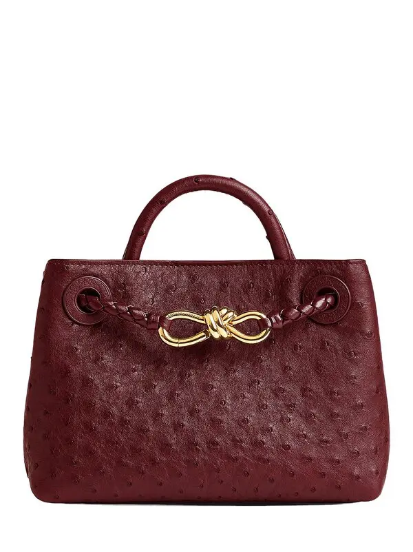 Bottega Veneta Mini Andiamo - Lava Red