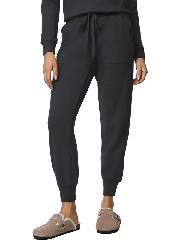 Splendid Winslow Jogger Relaxed Fit Drawstring Sweatpants - Pale Oak Heather