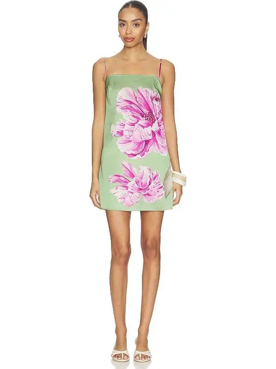 Misa Floral Print Mini Dress - Large Flora
