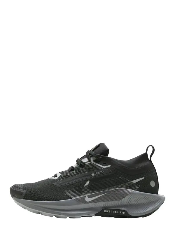 Nike Pegasus Trail Gore-tex Athletic Sneakers - Black/wolf Grey