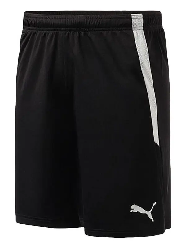 PUMA Team Liga Shorts - Black
