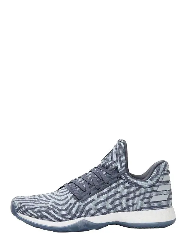 Adidas Harden Volume 1 Ls Primeknit 'raw Steel - Grey