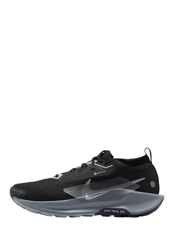 Nike Pegasus Trail 5 Gore-tex Sneakers - Black/wolf Grey