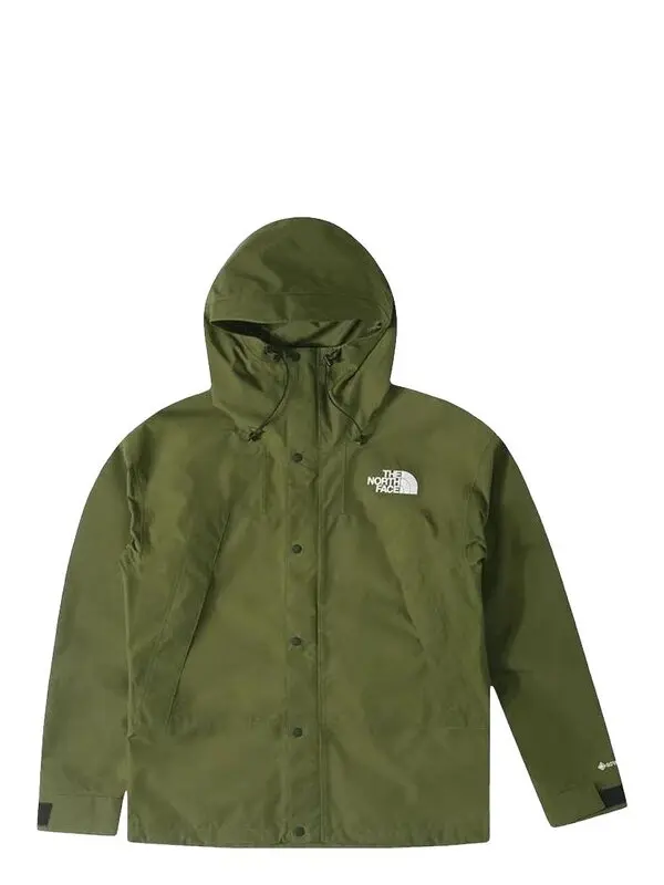 The North Face Gore-tex Mountain Jacket - Green