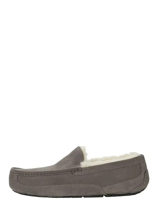 UGG Ascot Slipper - Grey