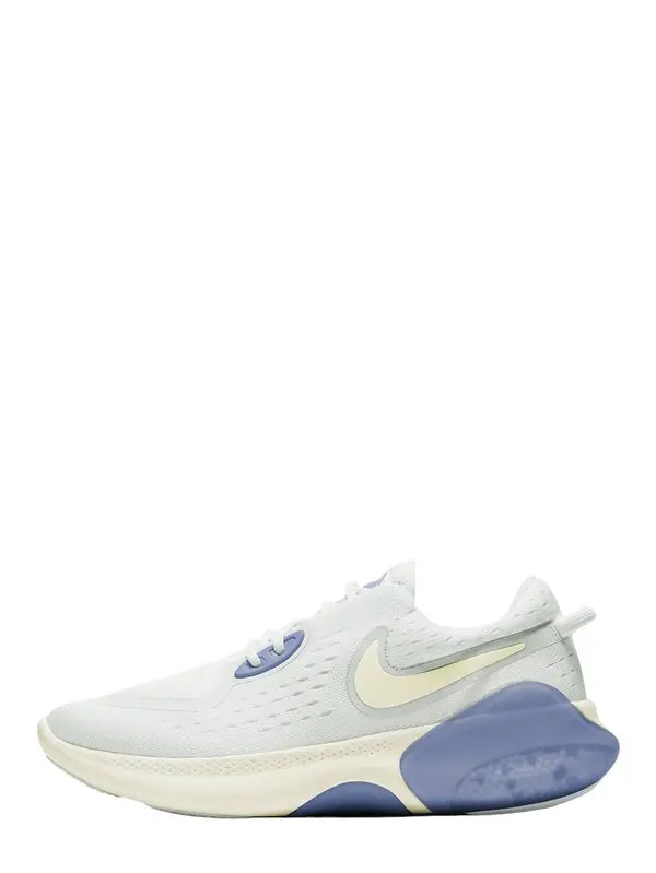 Nike Joyride Dual Run Blue/white - White/blue
