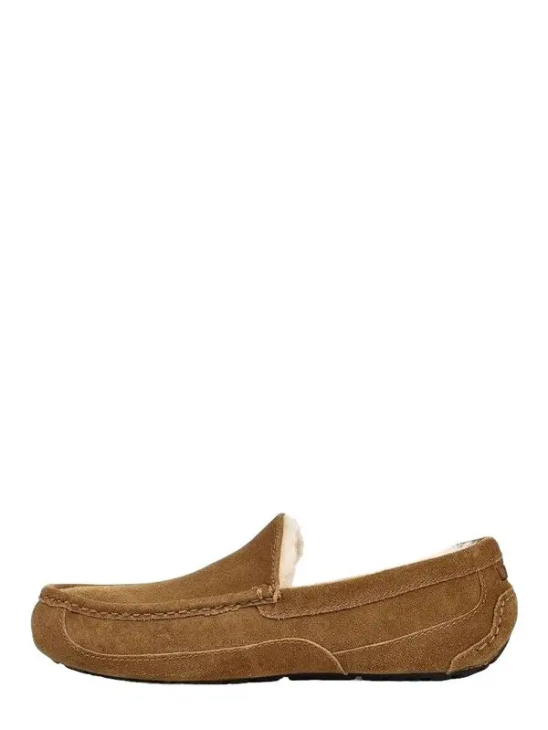 UGG Ascot Slipper - Default Colorway
