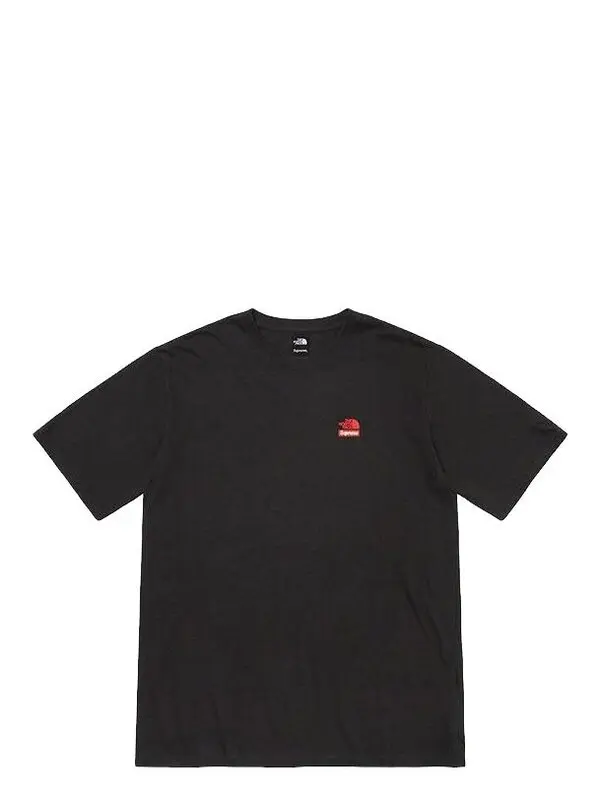 Supreme Fw19 Week 10 X The North Face Statue Of Liberty Tee - Black