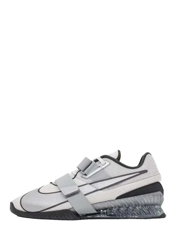 Nike Romaleos 4 Se Athletic Sneakers - Phantom Dust/metallic Silver