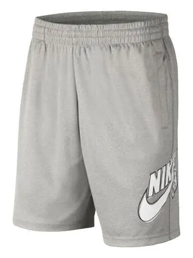 Nike Skateboard Quick Dry Shorts - Grey