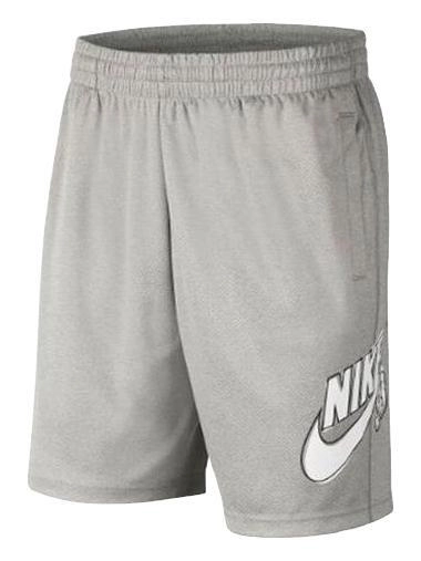 Nike Skateboard Quick Dry Shorts - Grey