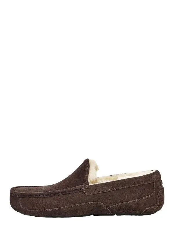 UGG Ascot Slipper Shoe - Brown