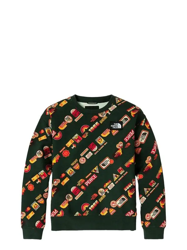 The North Face Graphic Print Pullover - Multi Color