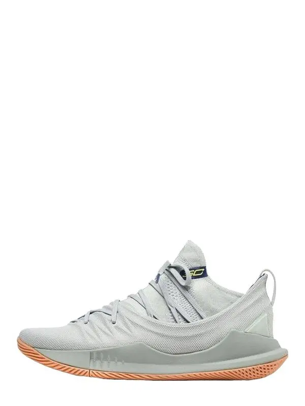 Under Armour Curry 5 "elemental Tokyo - Grey