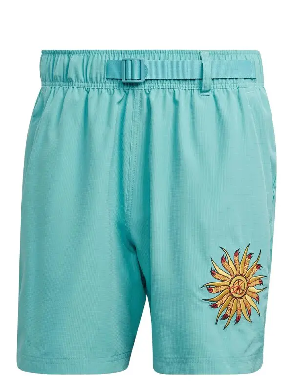 Adidas X Sean Wotherspoon X Hot Wheels Printed Shorts - Blue/mint