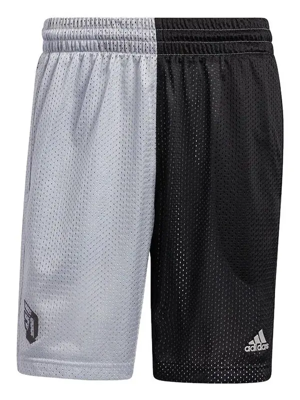 Adidas Dame Vis Basketball Colorblock Shorts - Blackgray