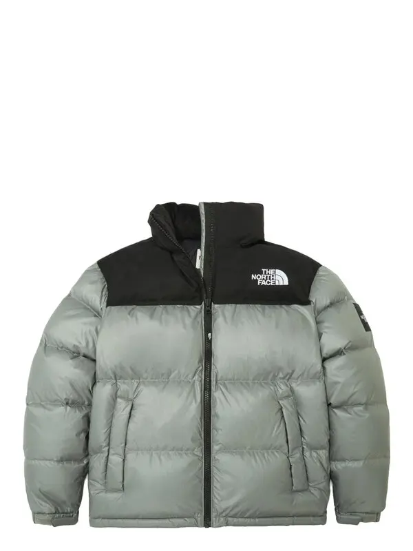 The North Face Fw22 Novelty Nuptse Down Jacket - None
