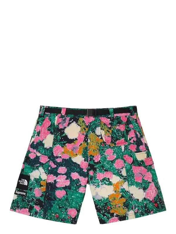 Supreme X The North Face Trekking Packable Belted Short - Multi-color