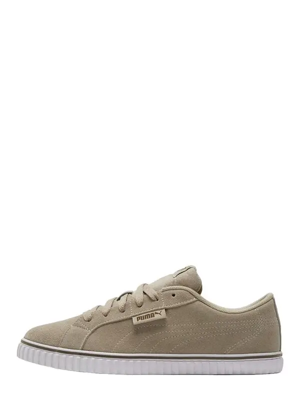 PUMA Ever Lopro Sd Casual Skateboarding Shoes - Gray/green