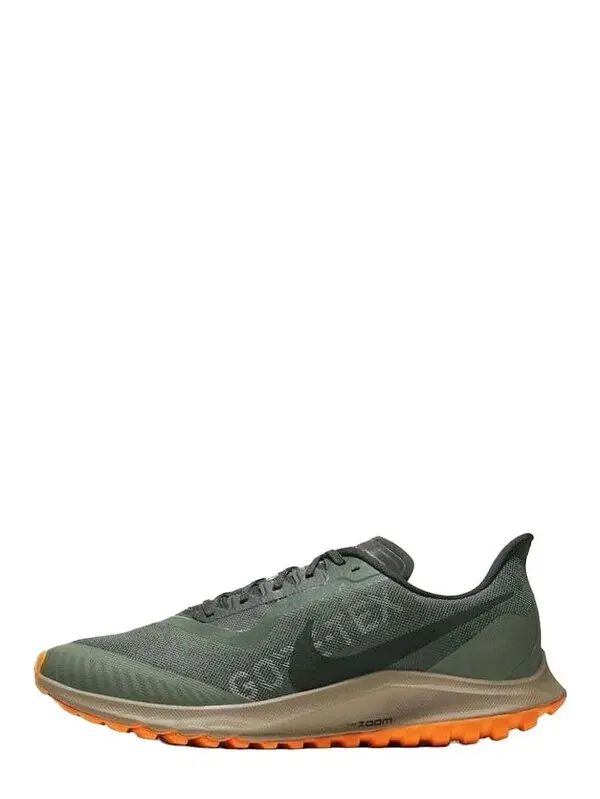 Nike Zoom Pegasus 36 Trail Gore-tex - Blue