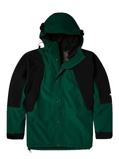 The North Face Retro Mountain Light Futurelight Jacket - Green