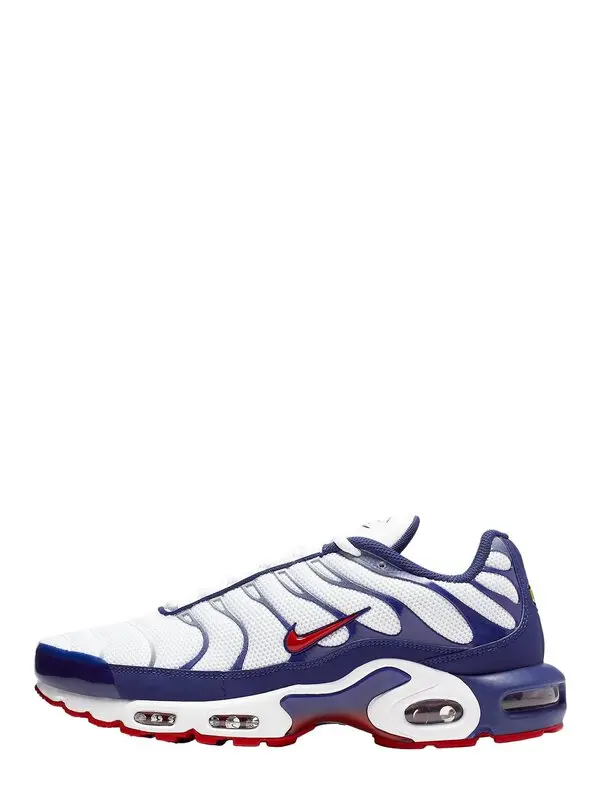 Nike Max Plus "usa - White/blue