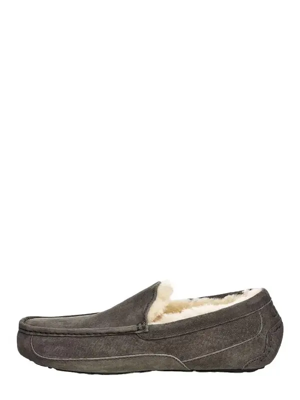 UGG Ascot Slipper - Grey
