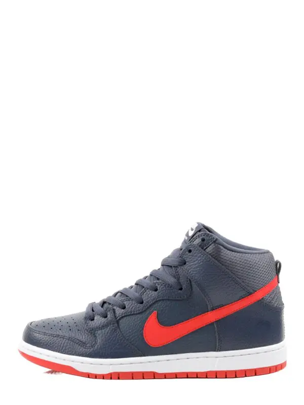 Nike Dunk High Pro Sneakers - Blue