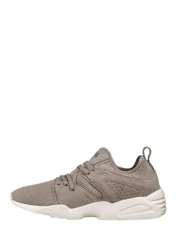 PUMA Blaze Ct Low Top Sneakers - Gray