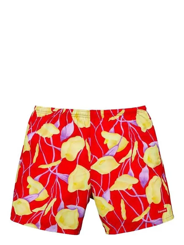 Supreme Ss18 Nylon Water Short - Red
