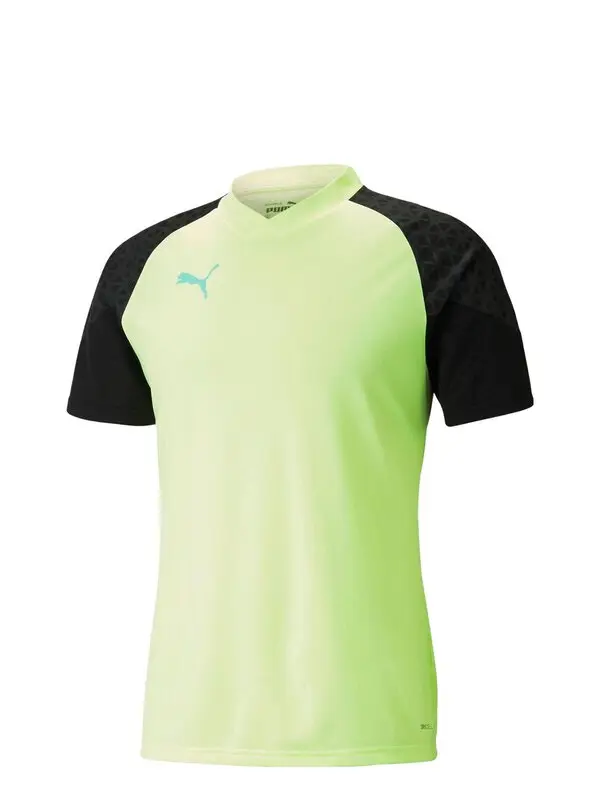 PUMA Individualcup Training Jersey - Green/black