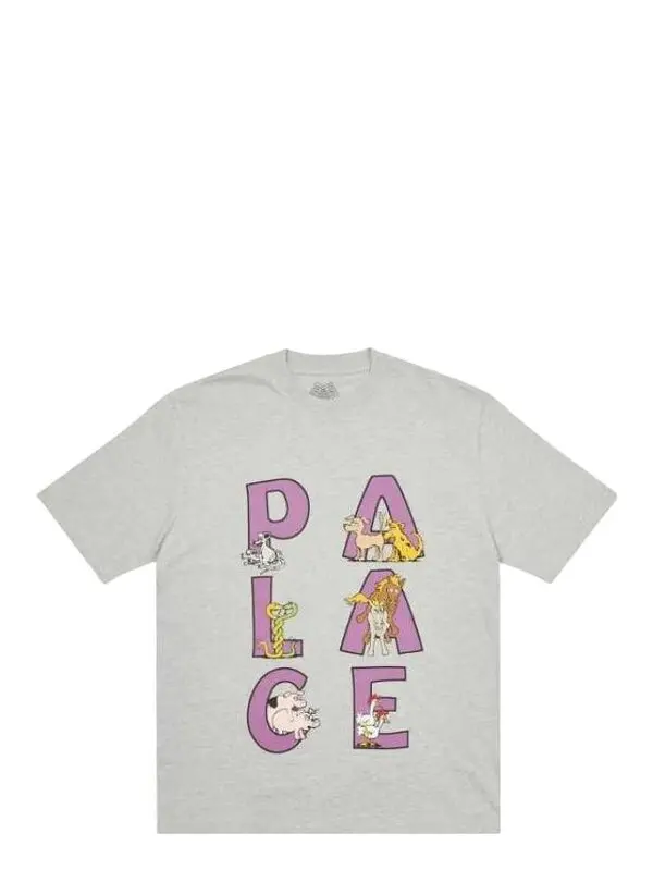 PALACE Fw22 Session T-shirt - Grey