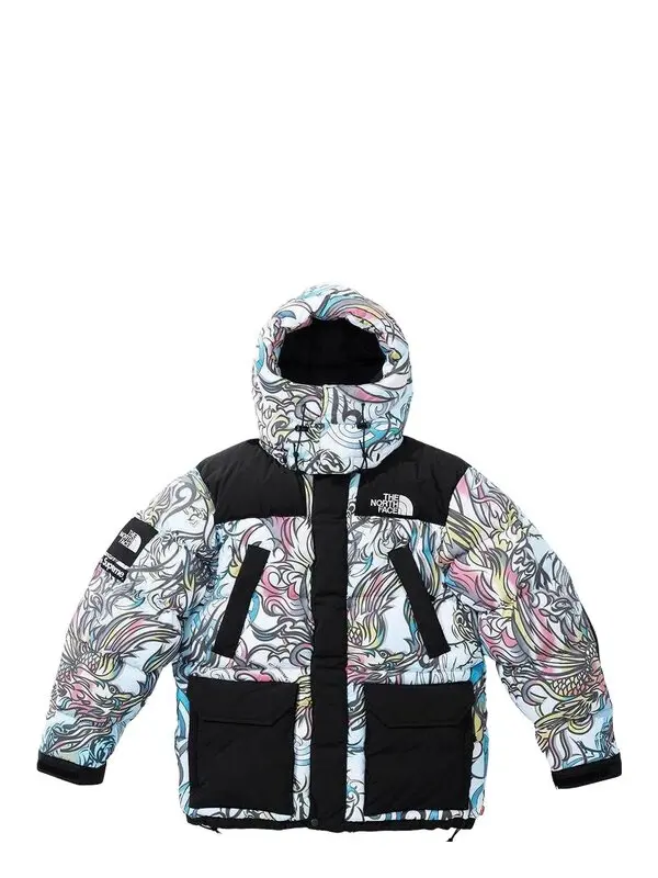 Supreme X The North Face 700-fill Down Parka - Multi-color