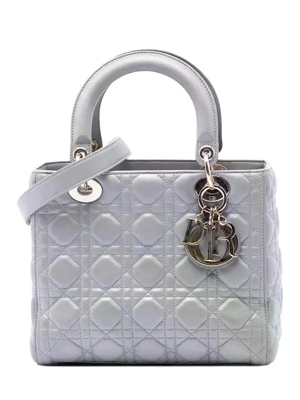 Dior Lady Satchel - Grey