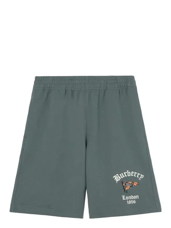 Burberry Cotton Flag Logo Embroidered Shorts - Seafarer Blue