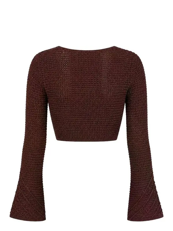 Devon Windsor Devon Erin Crochet-knit Cropped Top - Brown