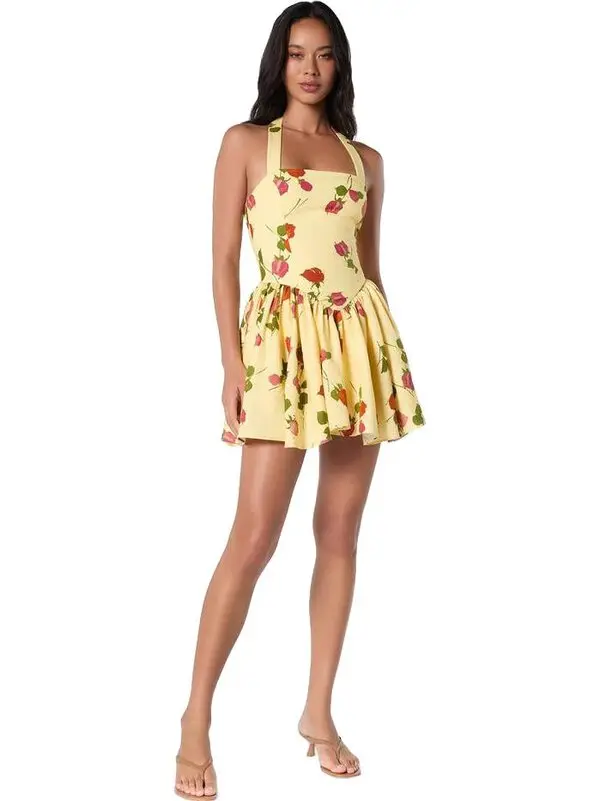 NICHOLAS Amalie Drop Waist Mini Dress - Fallen Roses