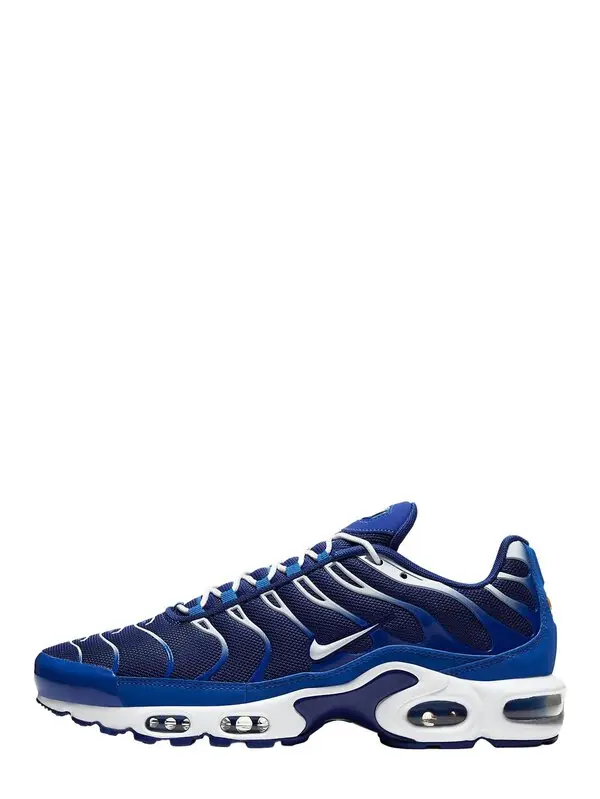 Nike Max Plus "arctic Chill" Sneakers - Blue