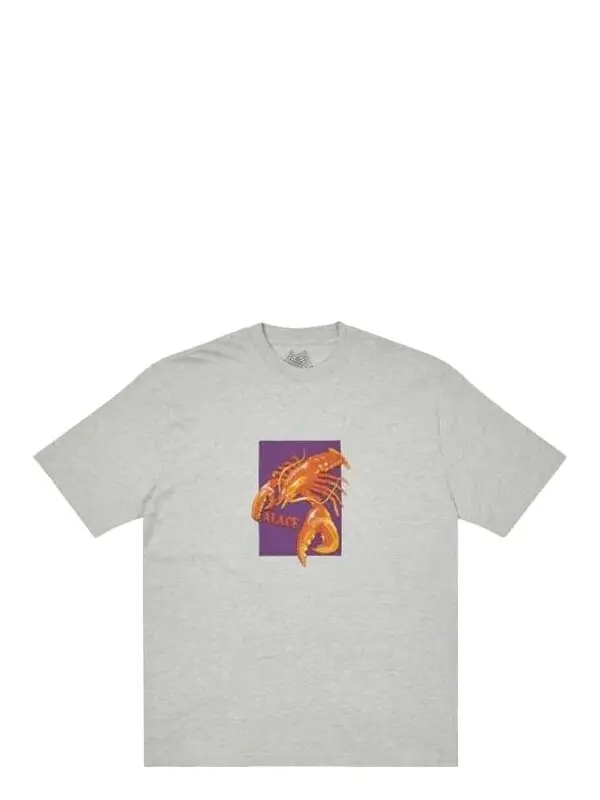 PALACE Fw22 Thermadore T-shirt - Grey