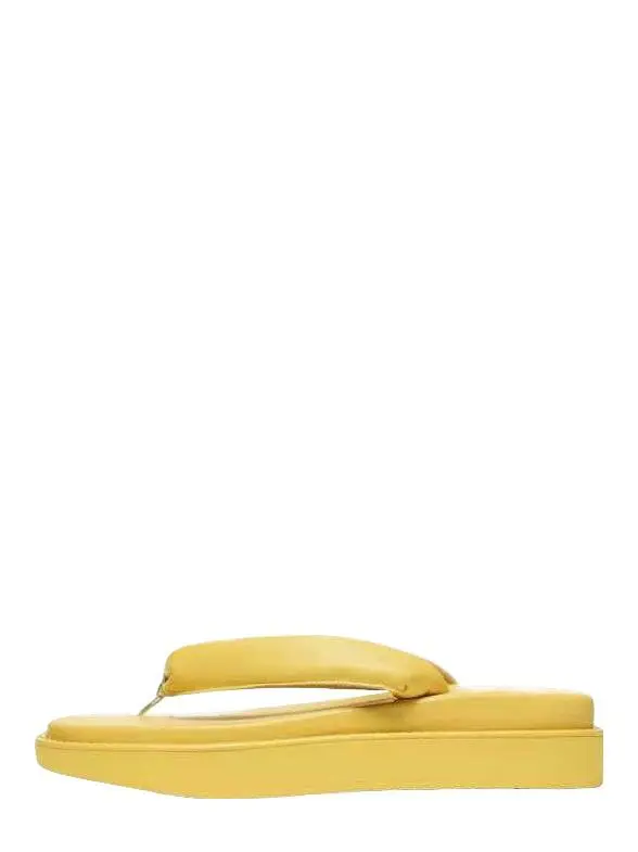 Onitsuka Tiger Tiger Setta Nm - Sunflower Yellow