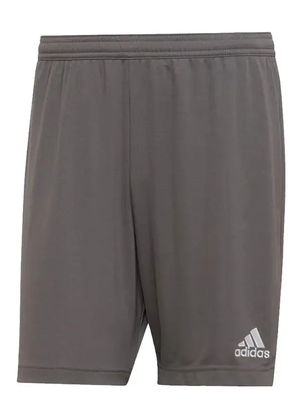 Adidas Entrada 22 Shorts - Grey