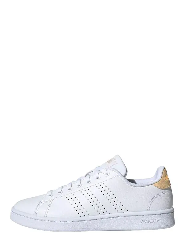 Adidas Advantage Sneakers - White/orange